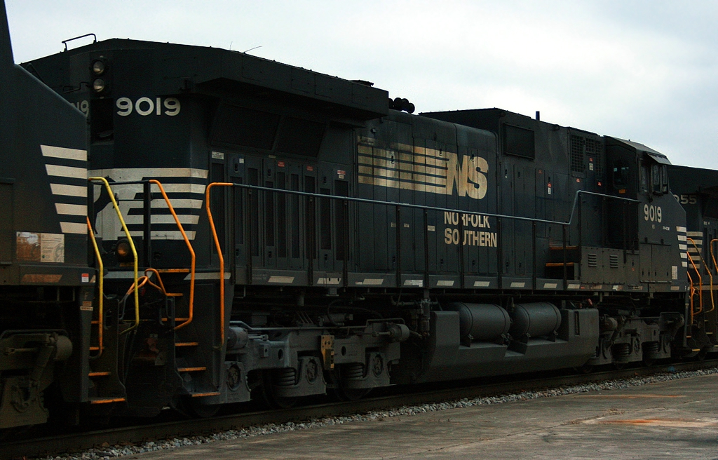 NS 9019